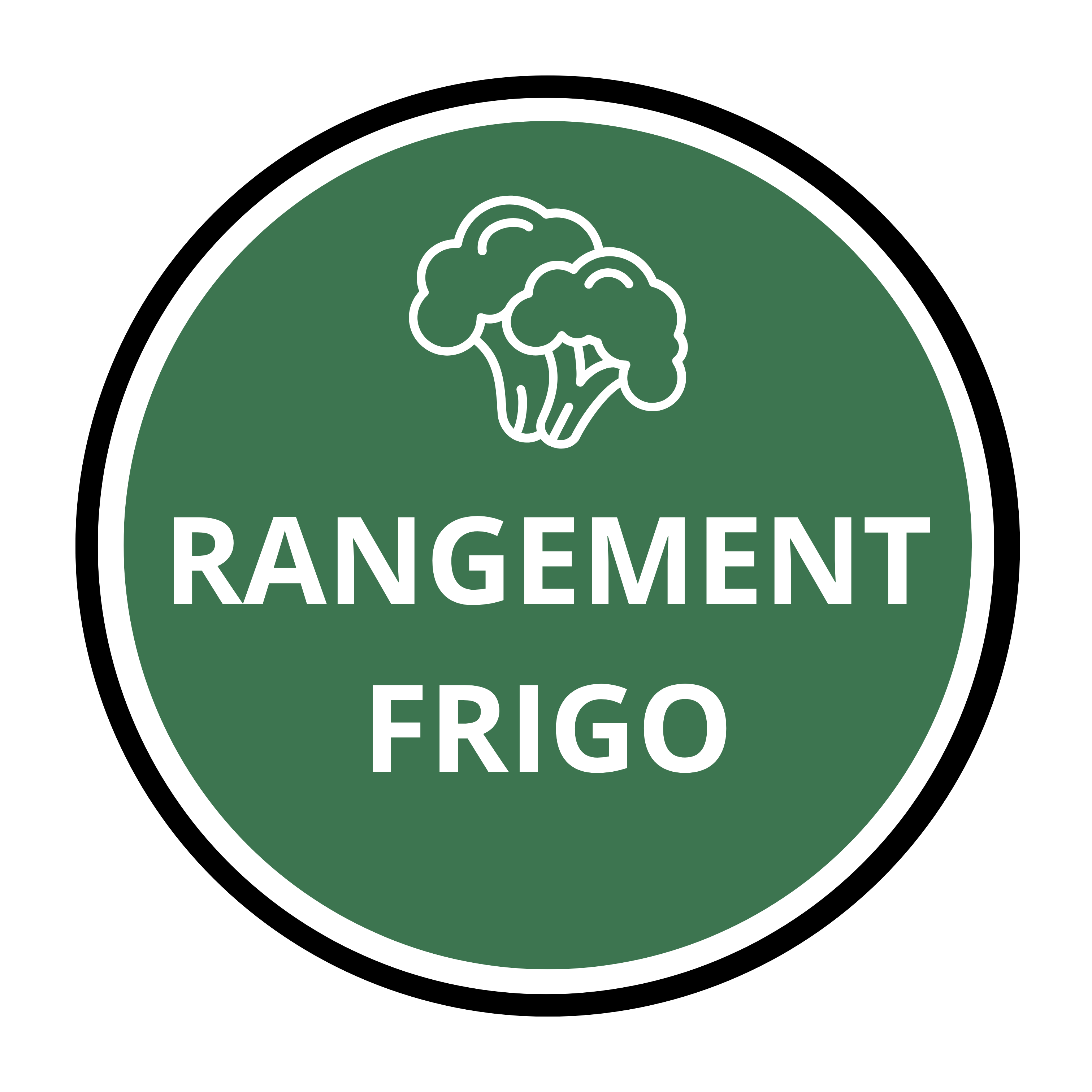 Range-œufs | Boîtes et solutions de rangement pour vos œufs – Rangement ...